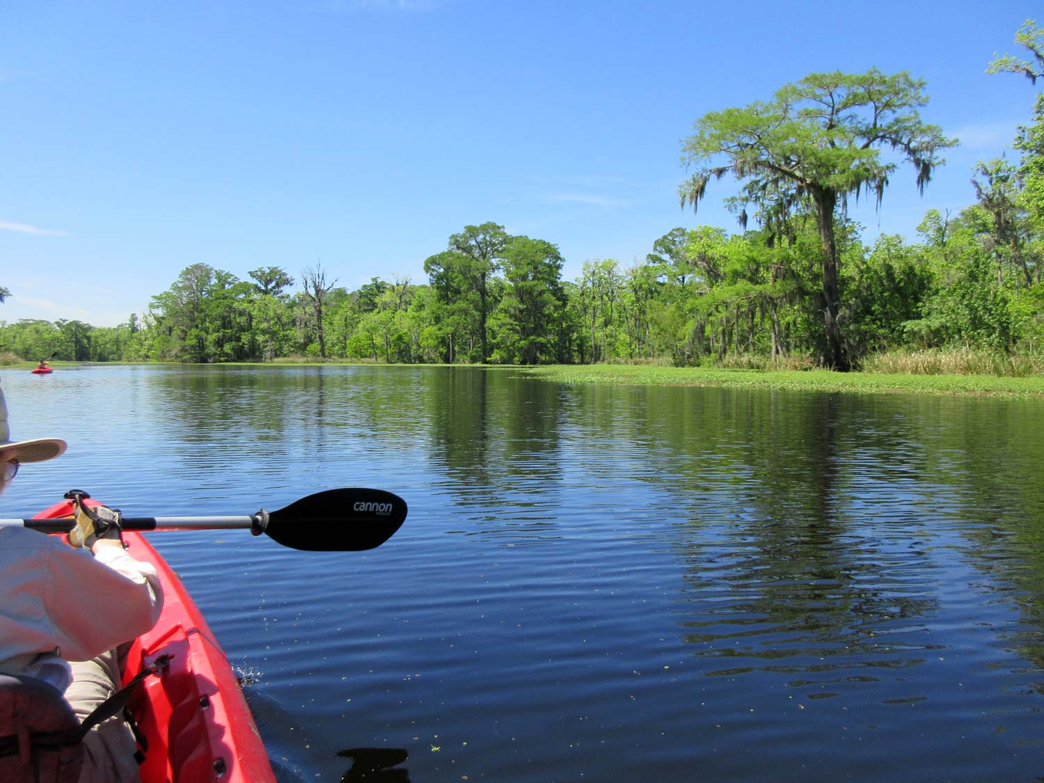2017: New Orleans, Swamp Kayaking