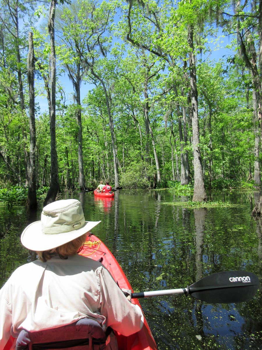 2017: New Orleans, Swamp Kayaking