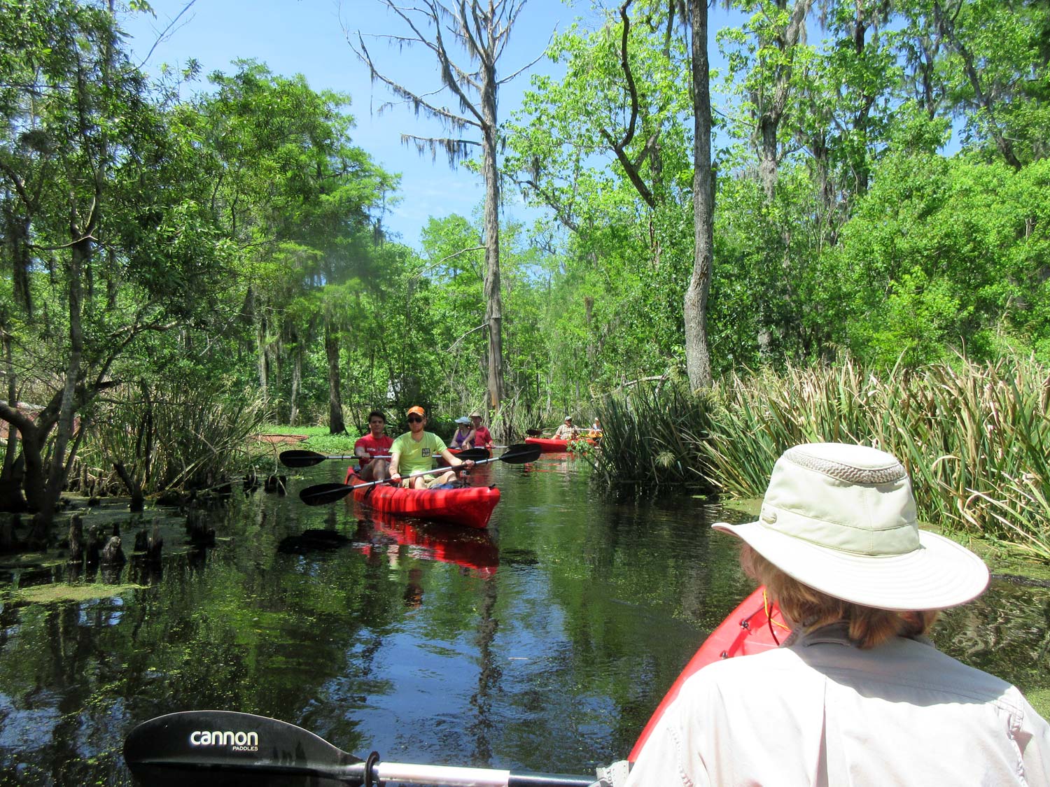 2017: New Orleans, Swamp Kayaking