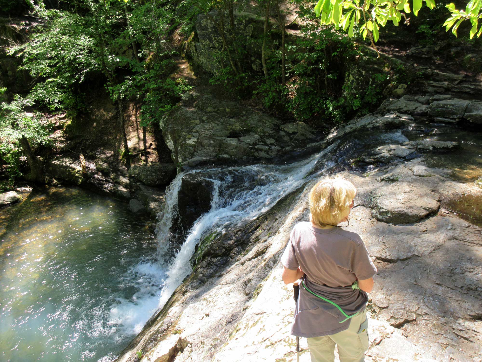 2017: Hot Springs, Falls Branch Trail
